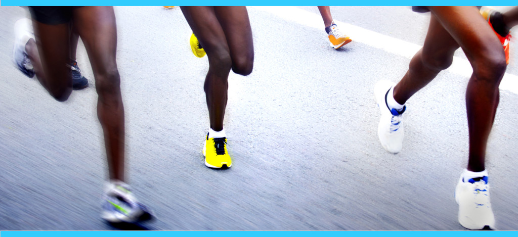 - muscle function + locomotion lab